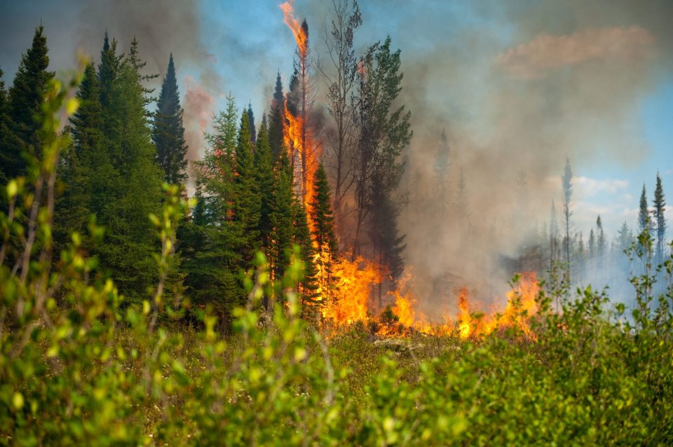 Feu de forêt: prudence pour les prochains jours - L’Hebdo du St-Maurice